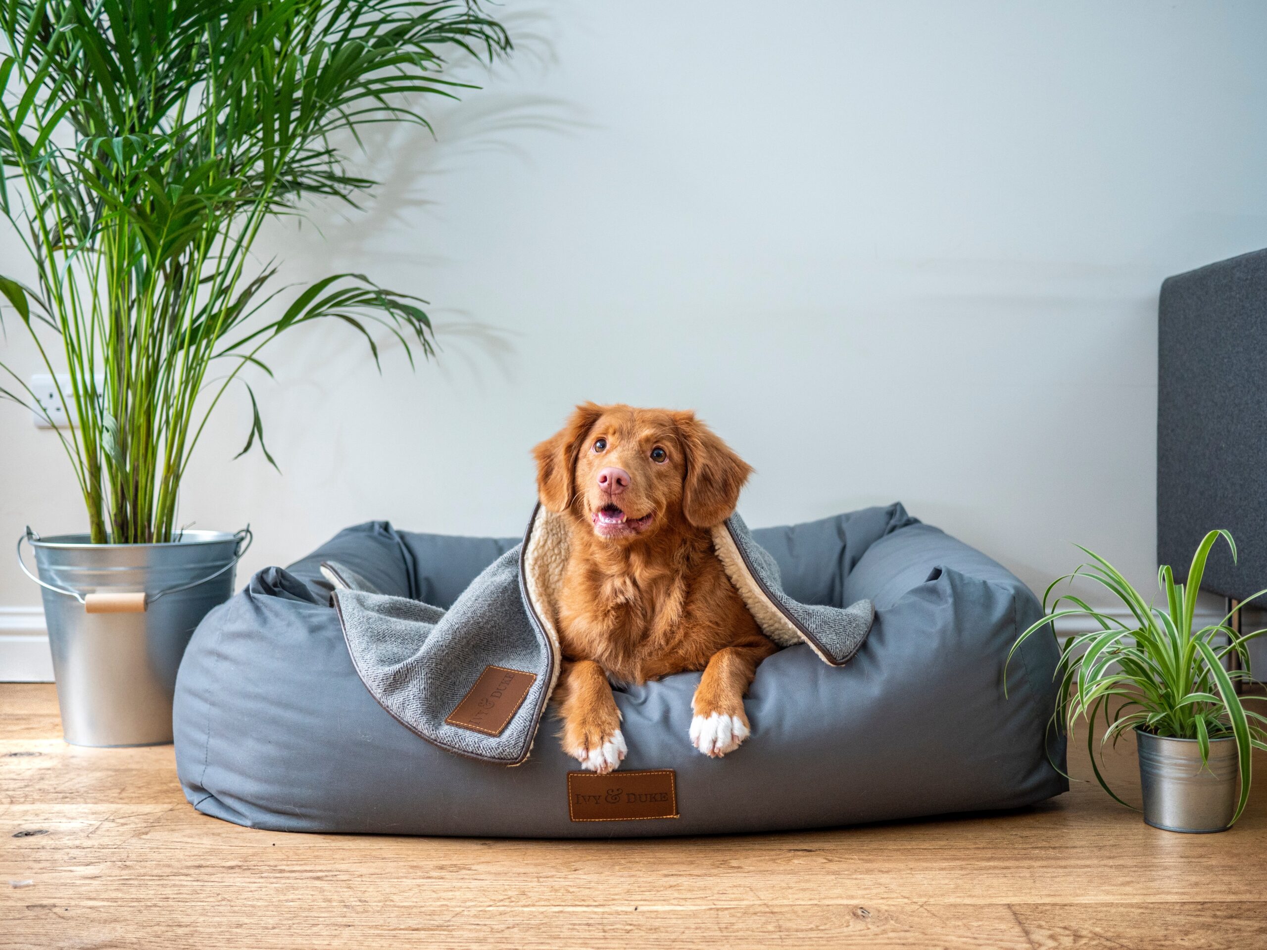 Geschenke Fur Tierliebhaber